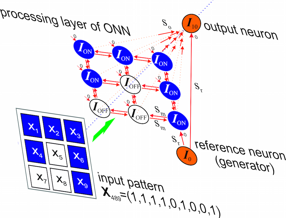 Physicists Train The Oscillatory Neural Network To Recognize Images Brain Emotional Learning